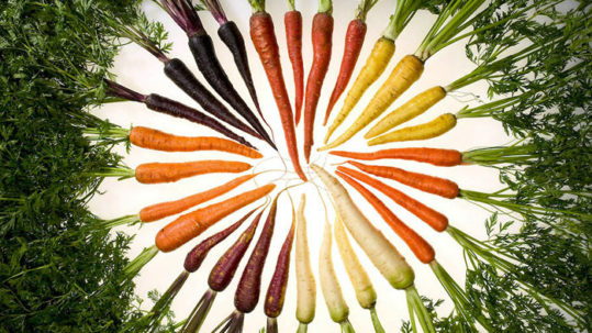 Amonbê | The Untold History of Carrots